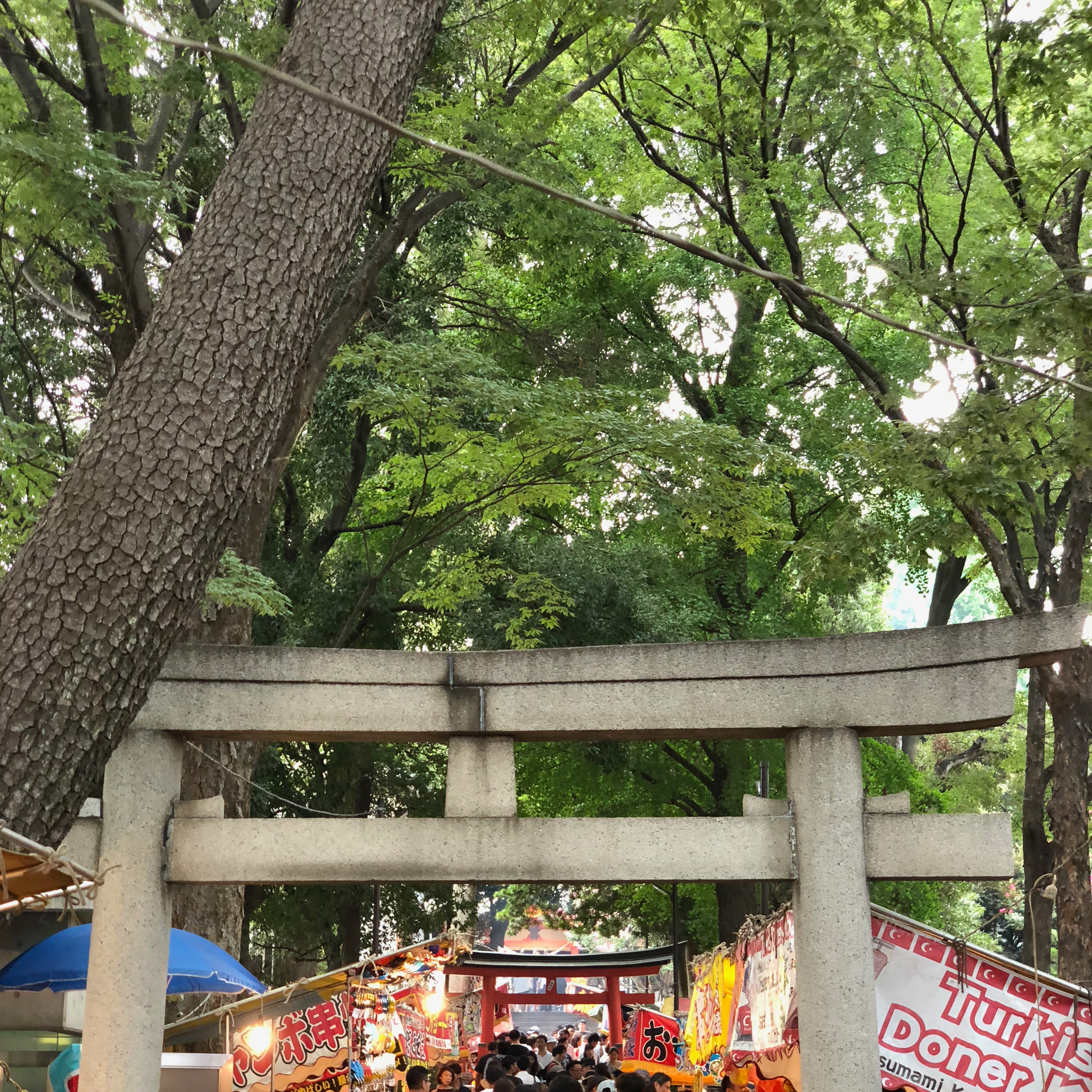 秋の収穫、心踊るお祭り | 一級建築士吉能雅人主催／Atelier YUIM Official Site